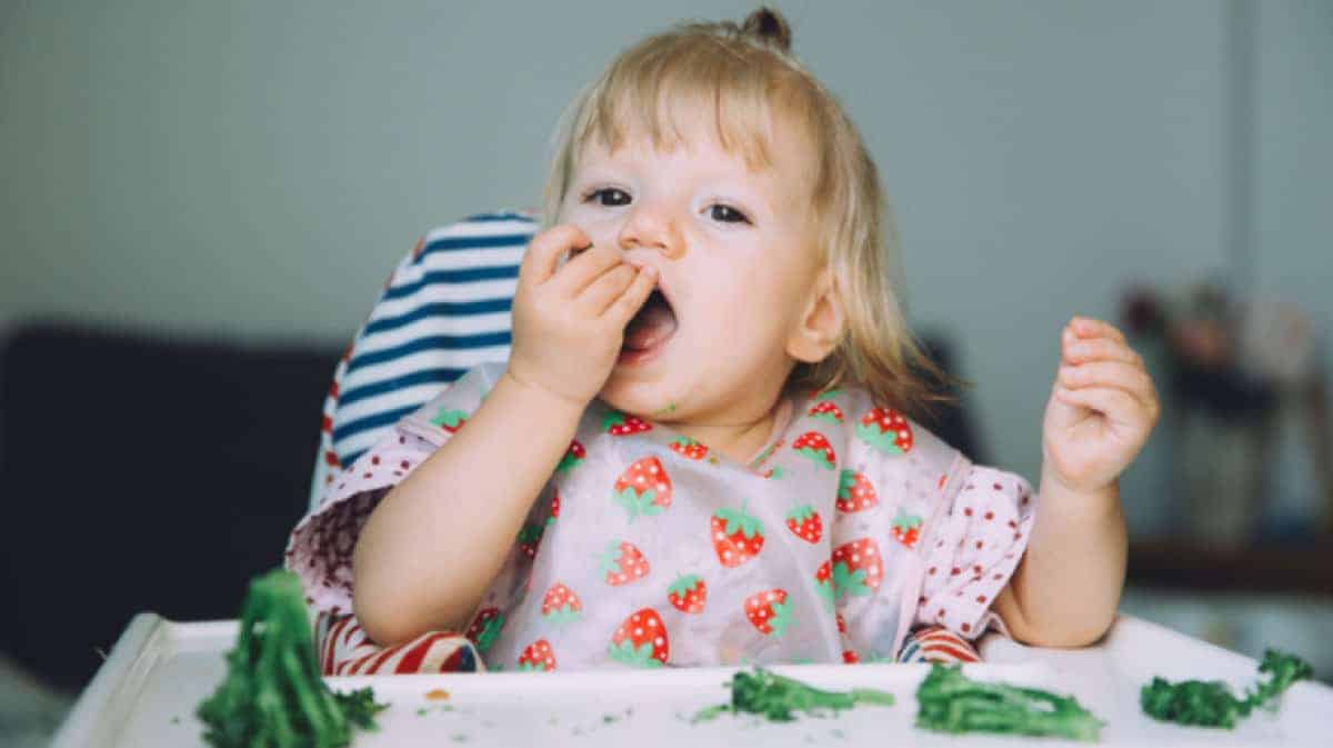 BLW Nedir | BLW Tablosu | BLW'ye Geçiş Yöntemi 2021 | Buyurken.com